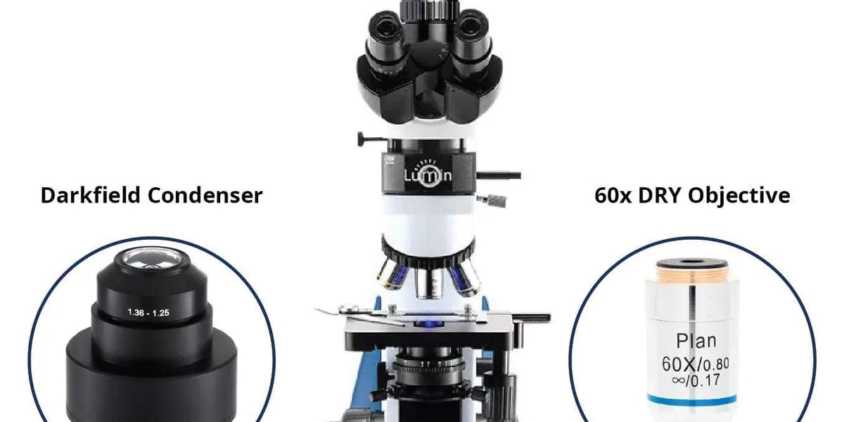 Power Package Epi-Fluorescence Microscope - LW Scientific